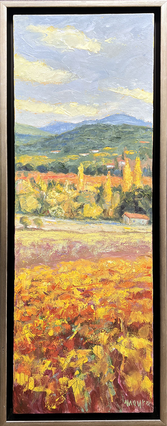 Vineyard - Grillon, France - John Maurer